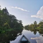 Javari Expedition - The Sum Up