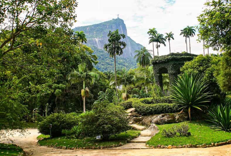 Jeep'n'Green: Rio Botanical Garden & Tijuca Rainforest Tour - Why This Tour Can Be a Great Value