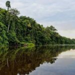 Jungle Tambopata 2D |Monkey Island + Search for alligators| - The Value of This Tour