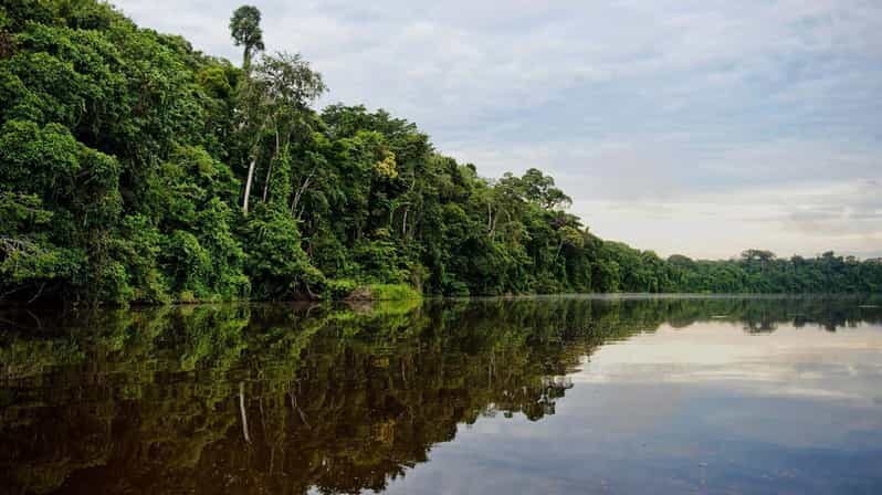 Jungle Tambopata 2D |Monkey Island + Search for alligators| - The Value of This Tour