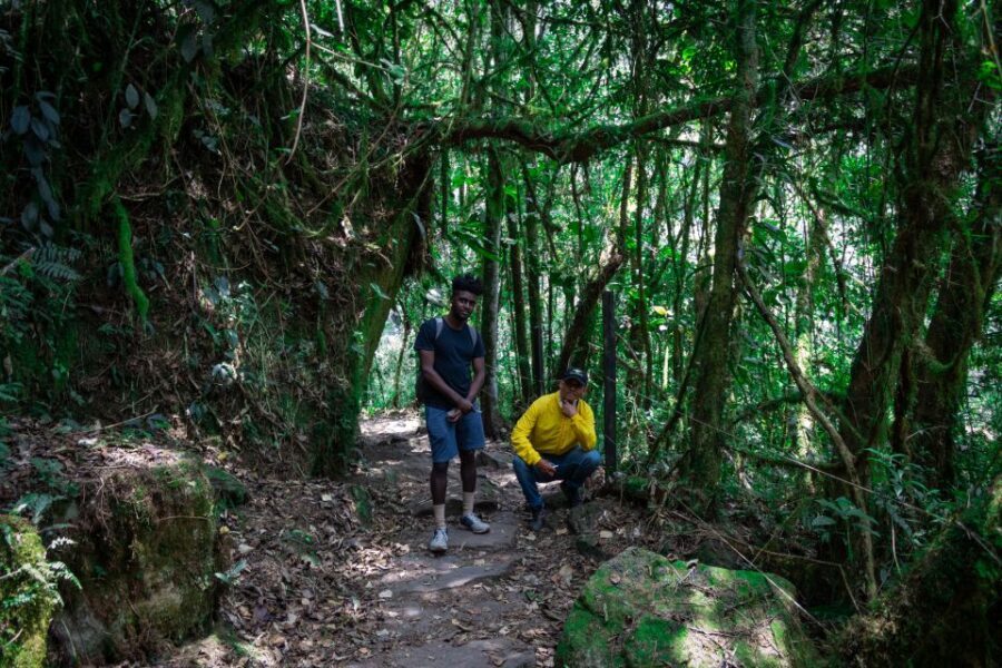 La Chorrera and Chiflon Waterfalls Private Hike Tour - The Value of This Experience