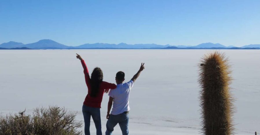 La Paz: 5-Day Uyuni Salt Flats by Bus with Private Hotels. - Day 3: Lagoons and Altiplanic Wonders