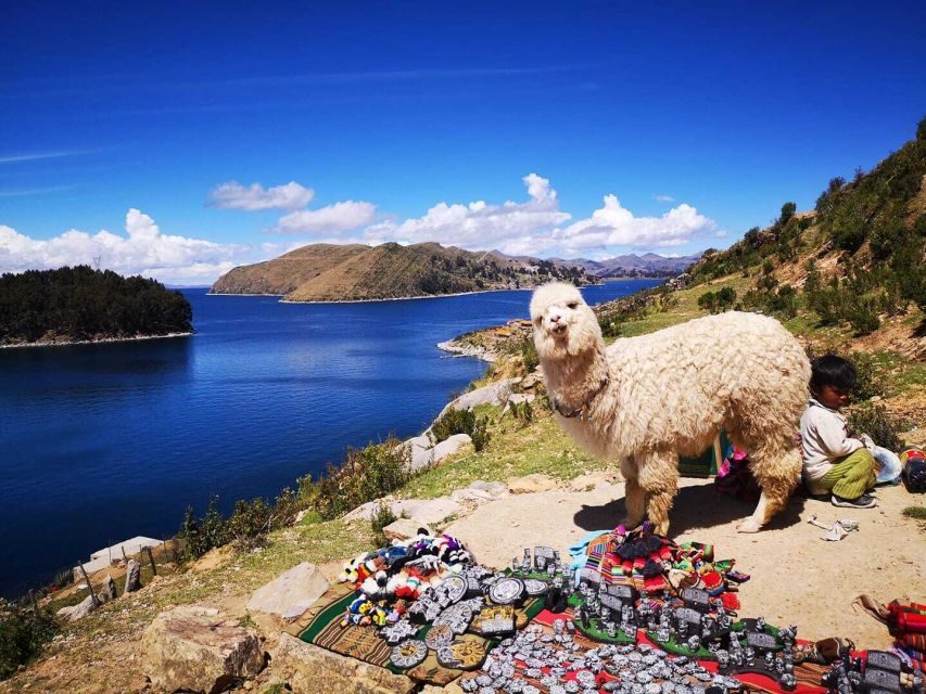La Paz: Full Day Trip to Copacabana and Isla del Sol - The Scenic Highlights