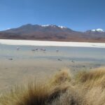 La Paz: Uyuni Salt Flats and Incahuasi Island 5 days by bus - Salar de Uyuni: The Heart of the Tour