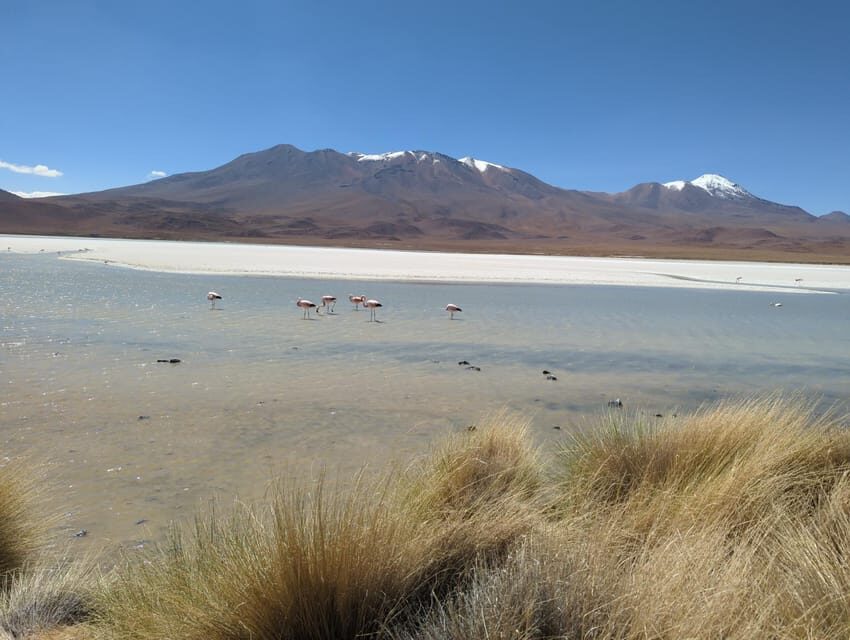 La Paz: Uyuni Salt Flats and Incahuasi Island 5 days by bus - Salar de Uyuni: The Heart of the Tour