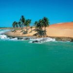 Lagoinha Beach: 1-Day Tour - The Value of This Tour