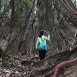 Leticia: Amazing Three Day Jungle Tours - Transportation, Comfort, and Practical Details