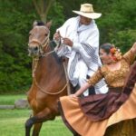 Lima: Buffet Lunch , dance show | Peruvian Paso Horses - Why This Tour Offers Good Value