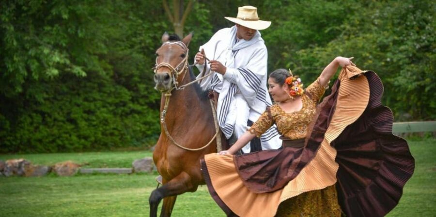 Lima: Buffet Lunch , dance show | Peruvian Paso Horses - Why This Tour Offers Good Value