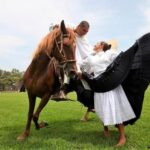 Lima: Buffet Lunch, dance show : Peruvian Paso Horses : - What to Expect: The Itinerary Breakdown