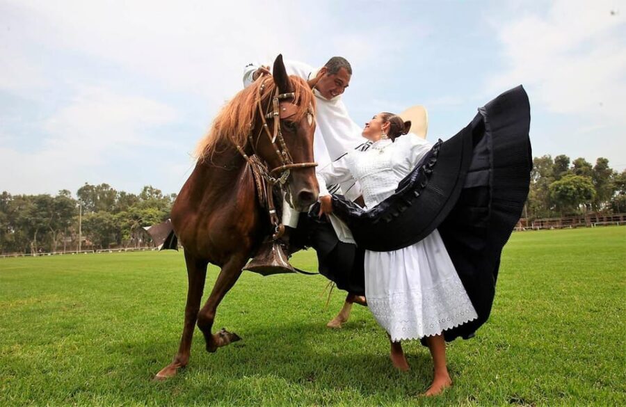 Lima: Buffet Lunch, dance show : Peruvian Paso Horses : - What to Expect: The Itinerary Breakdown