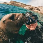 Lima: Excursion to Palomino Island | Entrance, sea lions | - Evaluating the Value and Experience