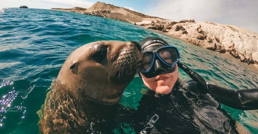 Lima: Excursion to Palomino Island | Entrance, sea lions | - Evaluating the Value and Experience