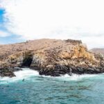 Lima: Excursion to Palomino Island | sea lions | - The Itinerary in Detail