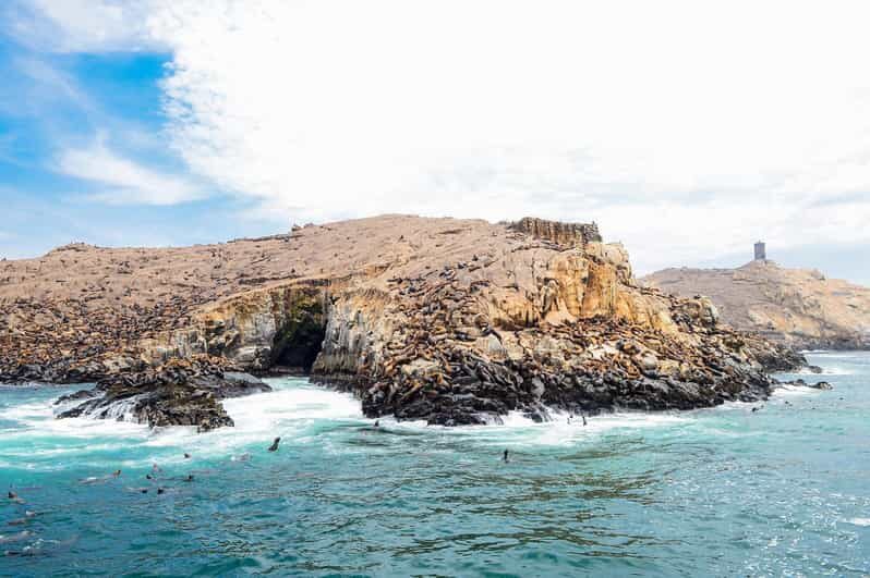 Lima: Excursion to Palomino Island | sea lions | - The Itinerary in Detail