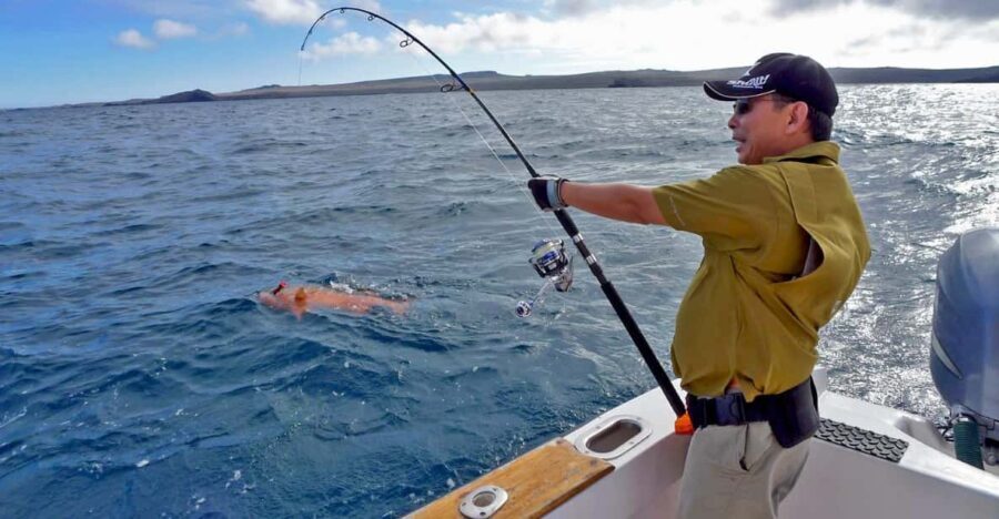 Lima: Fishing in the south of Lima - The Coastline: The Perfect Setting for Fishing