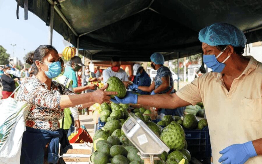 Lima Food Experience with local Markets & Barranco Tour - Authentic Experiences That Leave a Lasting Impression