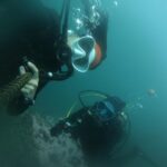 Lima: Fun Dive for Certified Divers - Why This Tour Is Worth Considering
