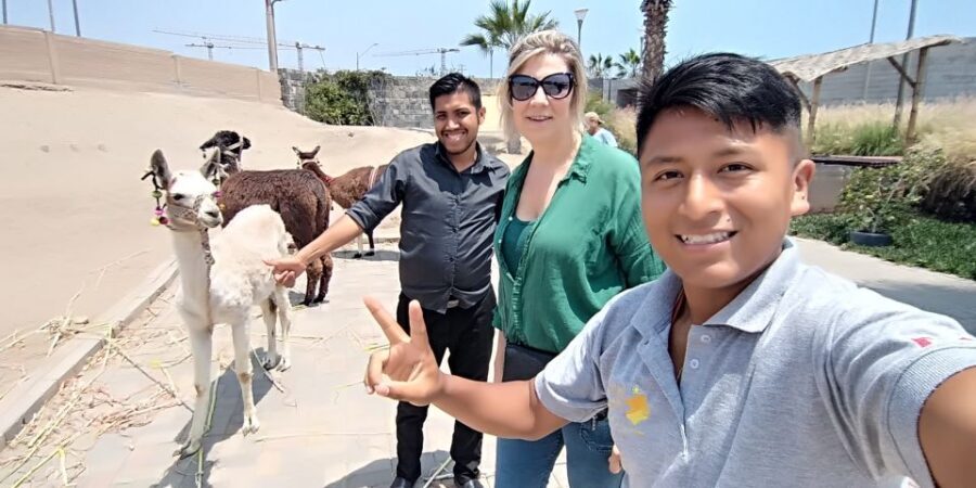 Lima: Highlights Tour in Miraflores, Barranco & Chorrillos - Exploring Lima’s Districts: A Detailed Look