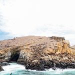 Lima : Islas Palomino - Swim with the Sea Lions - What’s Included and What’s Not