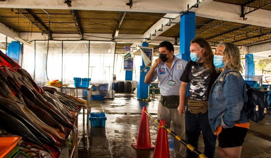 Lima: Street Food Tasting Tour with Pisco Sour Class - The Value of the Experience