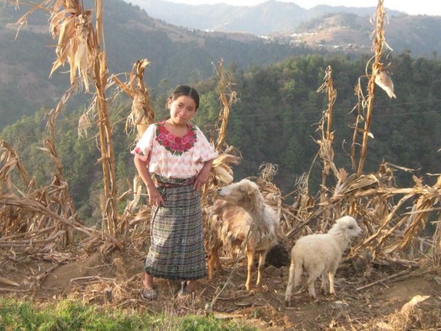 Lower Mayan Trail: San Marcos to Santa Cruz 4-Hour Hike - What to Expect on the Trail