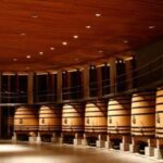 Luxury Wineries in Colchagua Full Day Tour - What Makes This Tour Stand Out?