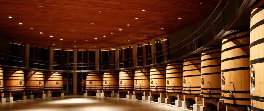 Luxury Wineries in Colchagua Full Day Tour - What Makes This Tour Stand Out?