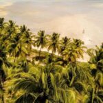 Maceio: Tour to Maragogi Beach - Who Will Enjoy This Tour?