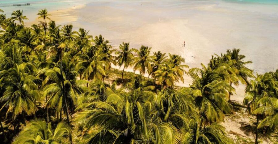 Maceio: Tour to Maragogi Beach - Who Will Enjoy This Tour?