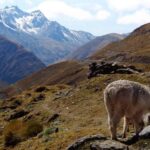 Machu Picchu 2 Days / 1 Night (By Bus) - The Walk to Aguas Calientes: A Different Kind of Journey