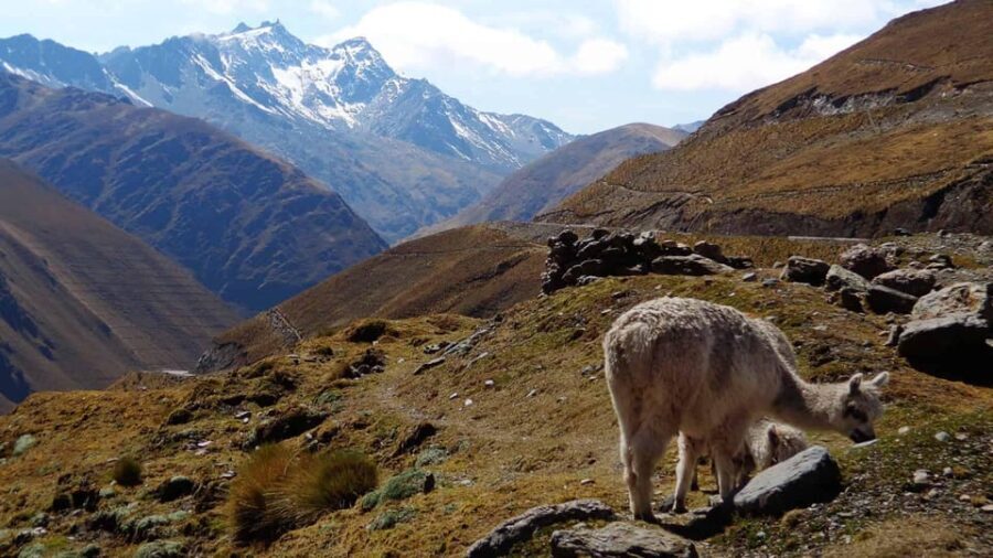 Machu Picchu 2 Days / 1 Night (By Bus) - The Walk to Aguas Calientes: A Different Kind of Journey