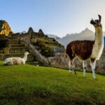 Machu Picchu Adventure and Rainbow Mountain | 2 Days | - What’s Included and What’s Not
