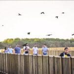 Mallorquin Eco-Park Walking Tour - Itinerary Breakdown: What to Expect