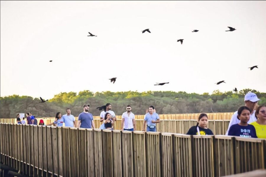 Mallorquin Eco-Park Walking Tour - Itinerary Breakdown: What to Expect