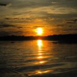 Manaus: Amazon Jungle Tour with Alligator Night Watch - Why This Tour Delivers on Value