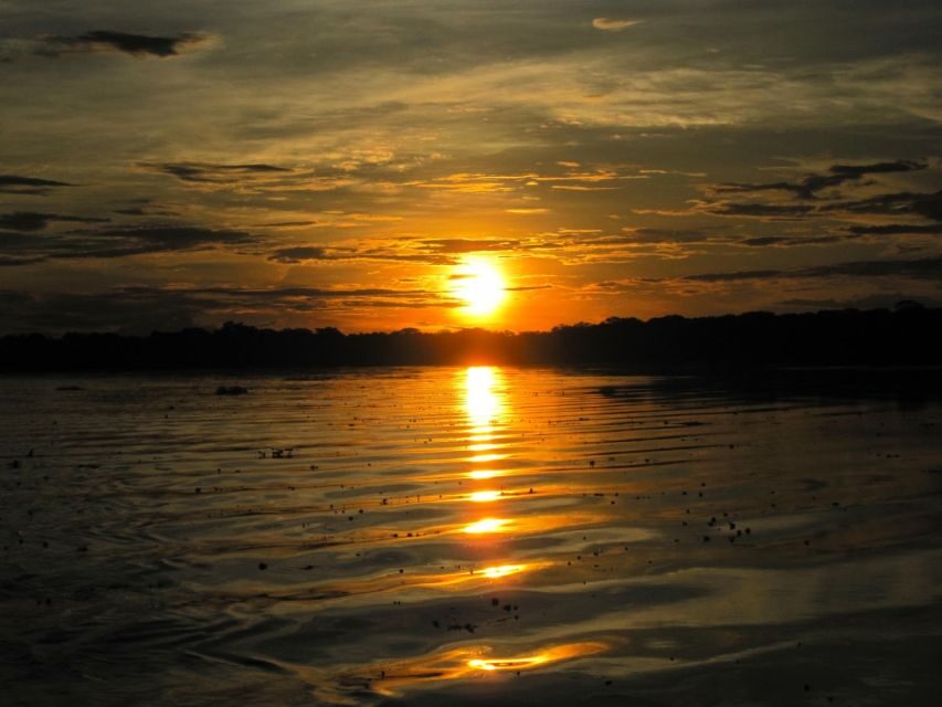 Manaus: Amazon Jungle Tour with Alligator Night Watch - Why This Tour Delivers on Value