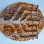 Manaus: Jewish History Tour with Guide - Why This Tour Matters for Travelers