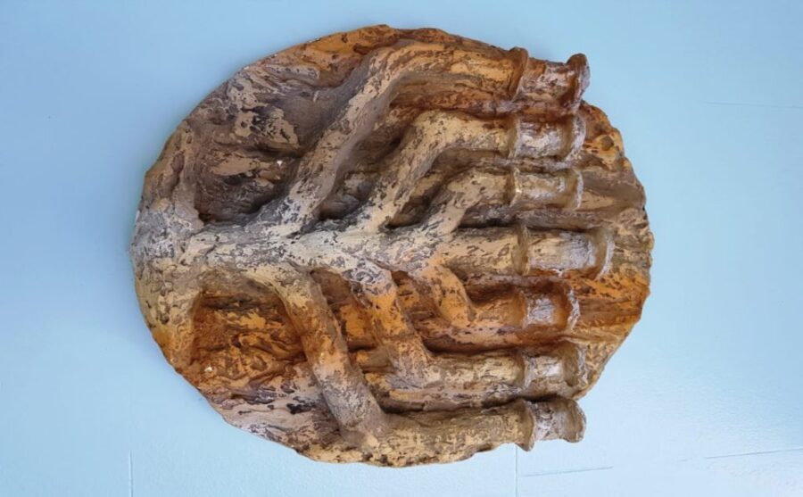 Manaus: Jewish History Tour with Guide - Why This Tour Matters for Travelers