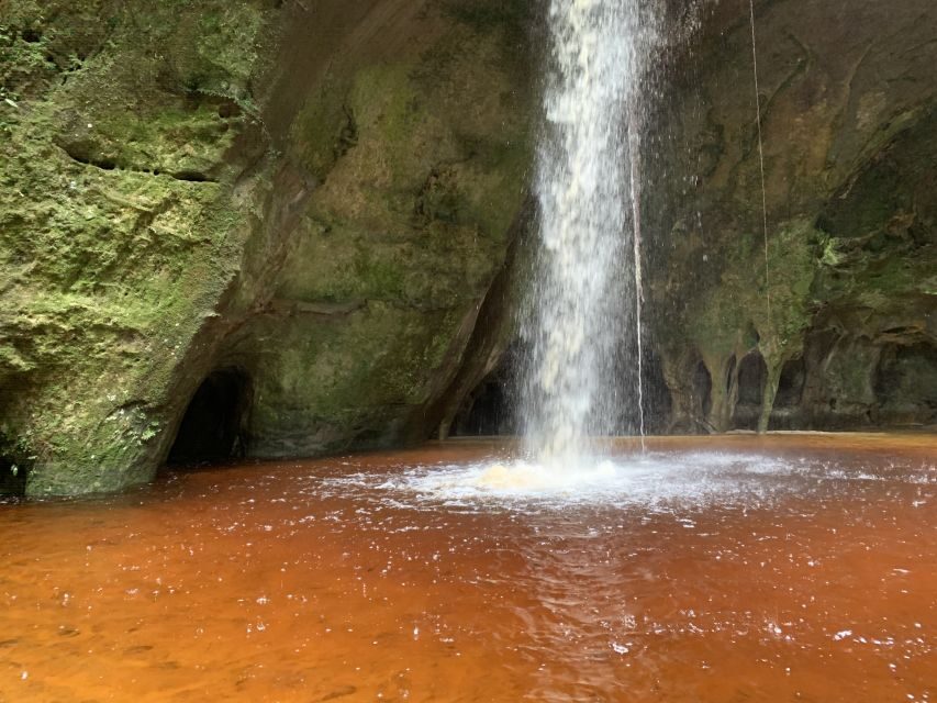 Manaus: Presidente Figueiredo Caves and Waterfalls Tour - Who Will Love This Tour