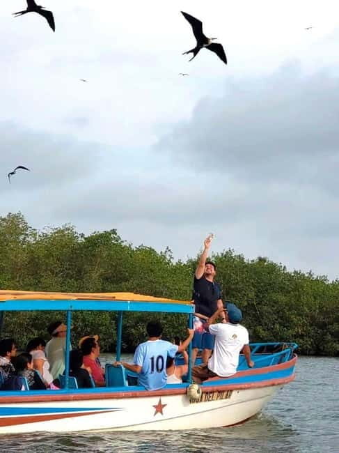 Mancora: Puerto Pizarro - Tour Mangrove Mysteries - What Is the Experience Like?