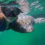 Mancora: Swimming and bathing with turtles | Entrance | - Is it Worth the Price?