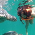 Mancora: Swimming and bathing with turtles | Entrance | - A Detailed Look at the Experience
