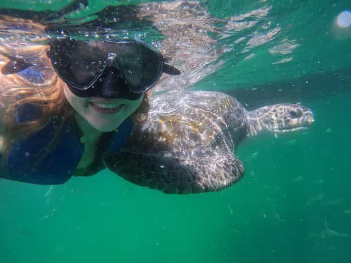 Mancora: Swimming and bathing with turtles | Entrance | - Is it Worth the Price?
