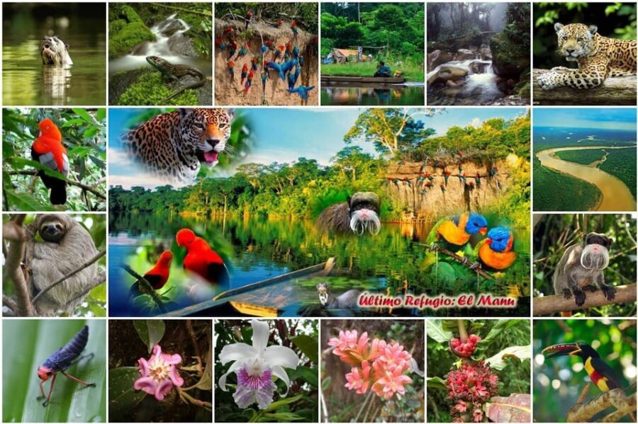 Manú Park | Paucartambo | Pilcopata 3 days includes food - The Sum Up