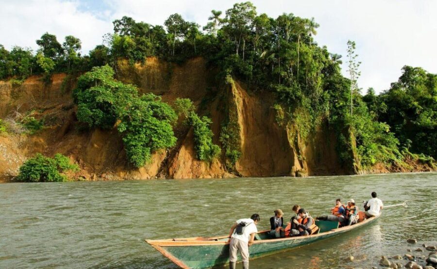 Manu Rainforest Tour 6 Days - What Makes This Tour Special?