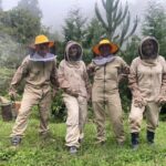 MEDELLÍN: Beekeeping Experience in coffee farm - What’s Included and What to Consider