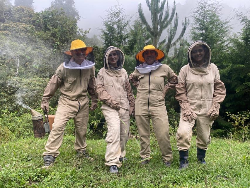 MEDELLÍN: Beekeeping Experience in coffee farm - What’s Included and What to Consider