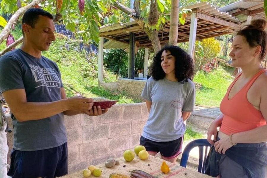 Medellin: Chocolate Roads Tour with Waterfall Experience - The Itinerary: From Cacao to Waterfall