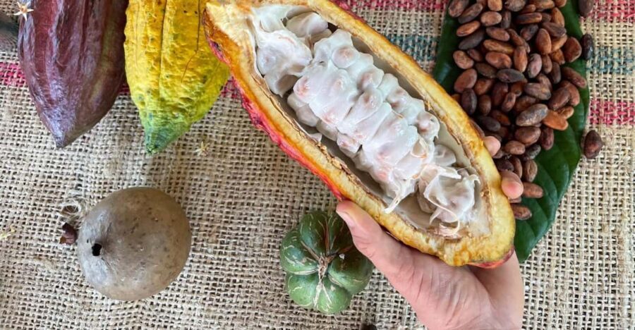 MEDELLÍN: CHOCOLATE TOUR & EXFOLIATION IN BEAUTIFUL RIVER! - Practical Details and What to Expect